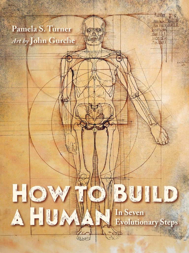 How to Build a Human In Seven Evolutionary Steps - Cooperative Children ...